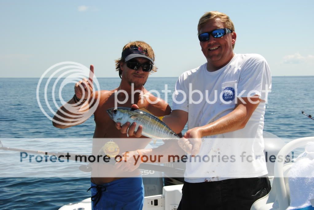 bleeding tuna? | Pensacola Fishing Forum