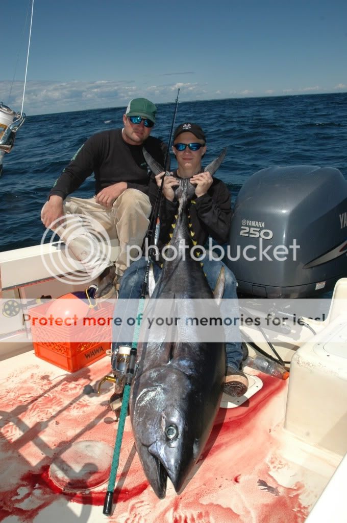 Fighting belts. | 360 Tuna Fishers Forum